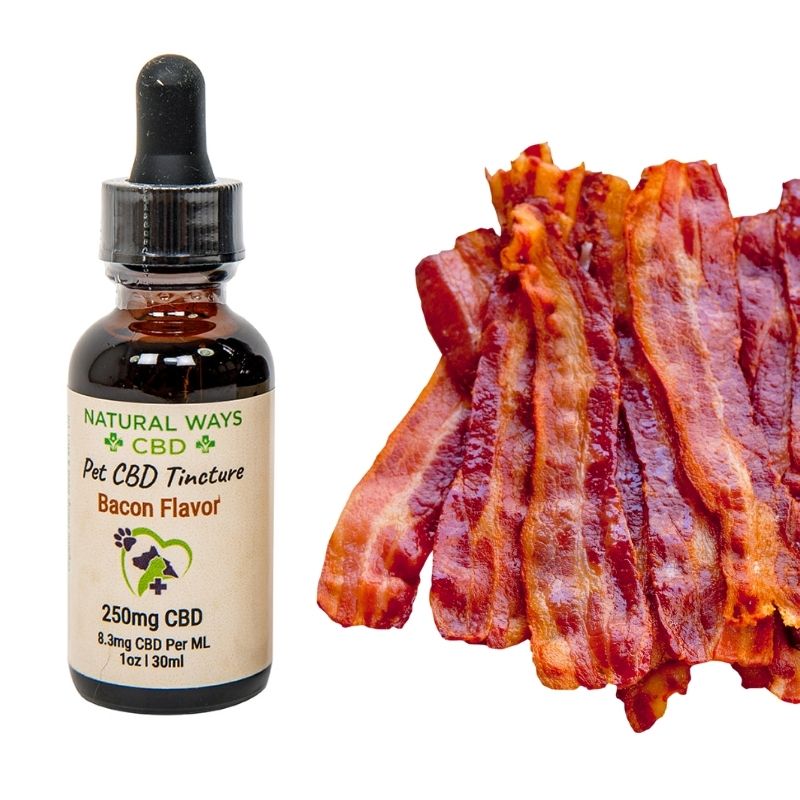 CBD for Dogs With Collapsed Trachea: Can It Help? | Natural Ways CBD CBD for Dogs With Collapsed Trachea: Can It Help? | Natural Ways CBD