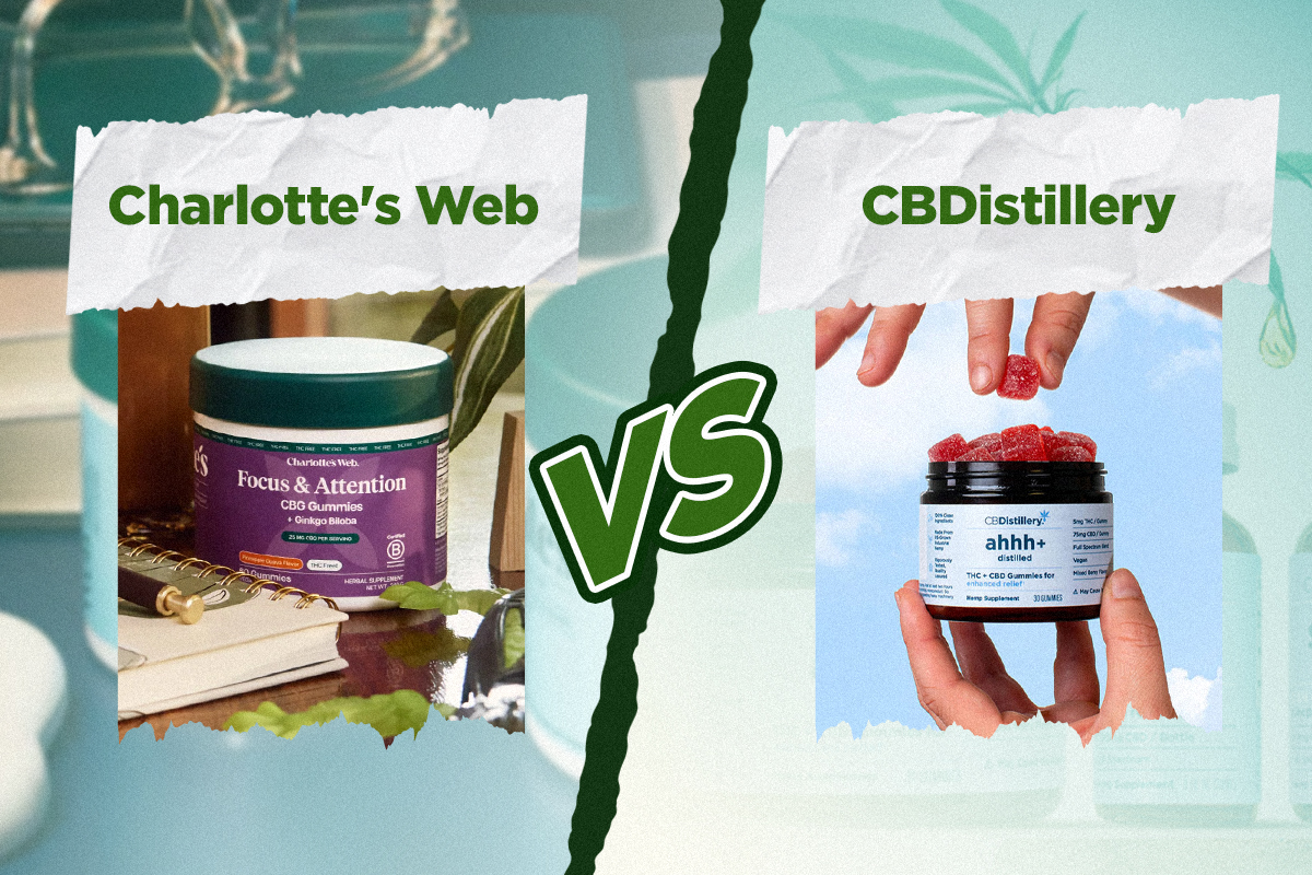 Charlotte’s Web vs. CBDistillery vs. Natural Ways CBD: Which CBD Brand ...